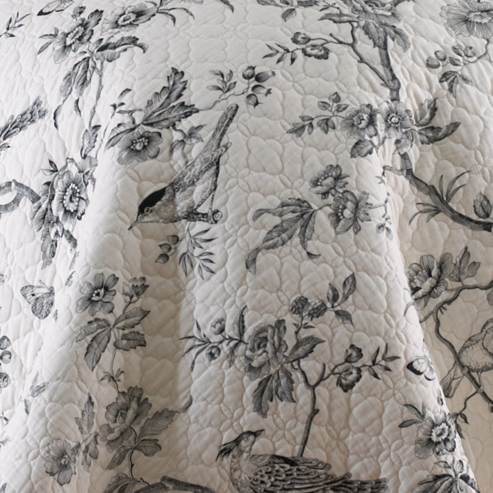 Levtex Home Toile Quilt Set - Cotton | Levtex Home